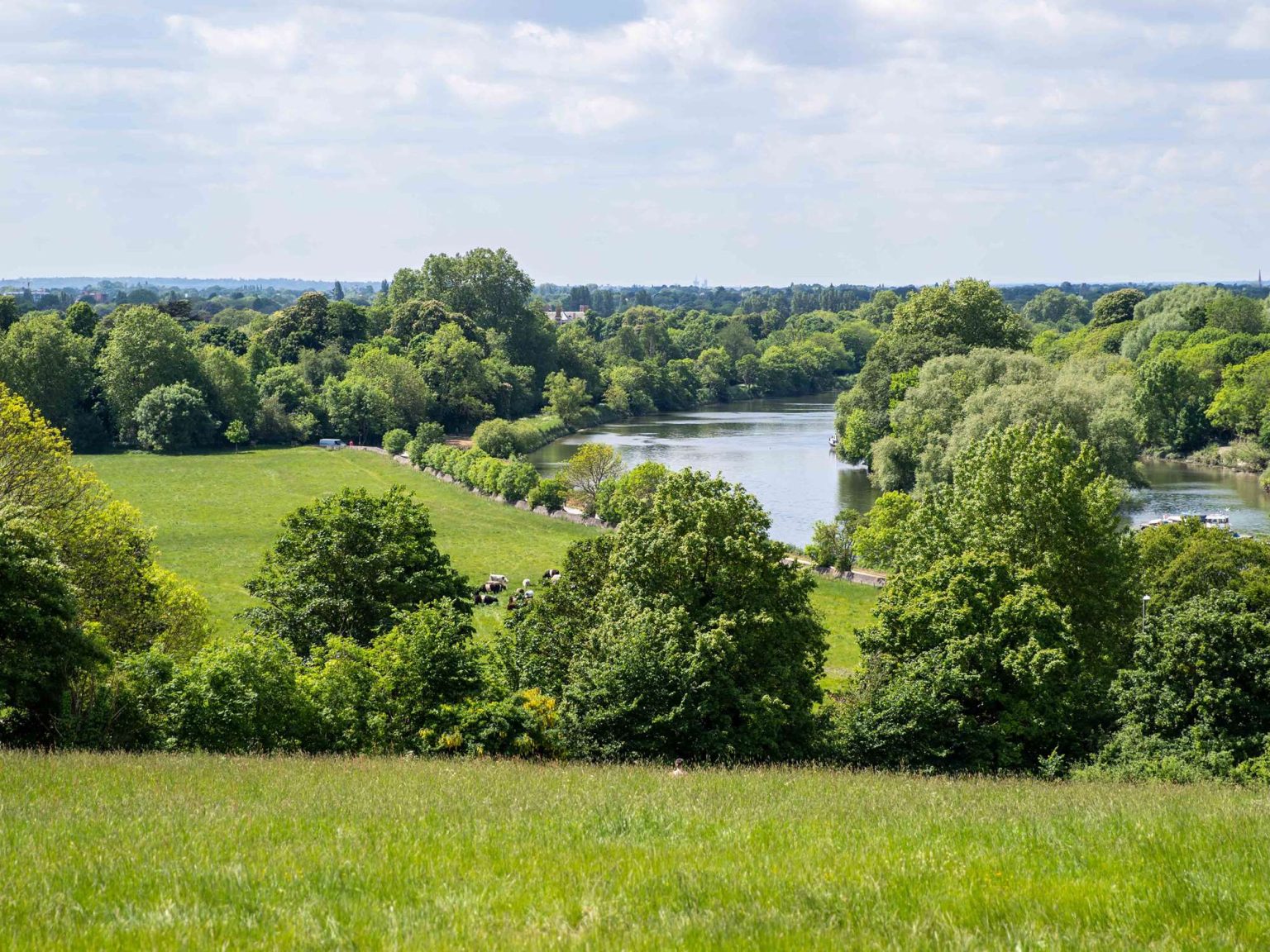 The Petersham Hotel | Luxury Hotel in Richmond, Surrey